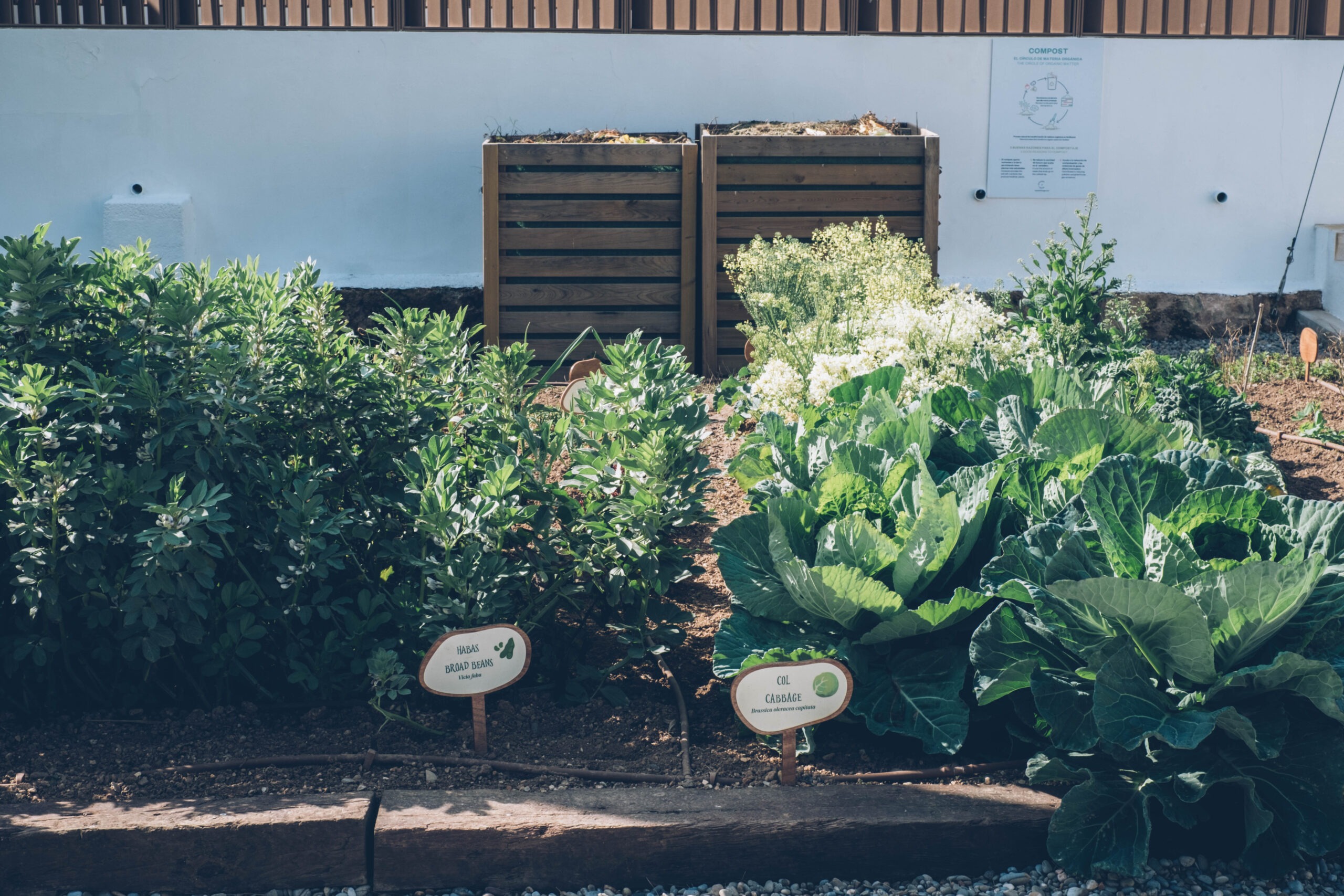 Five ways to go beyond recycling - Wave of Change