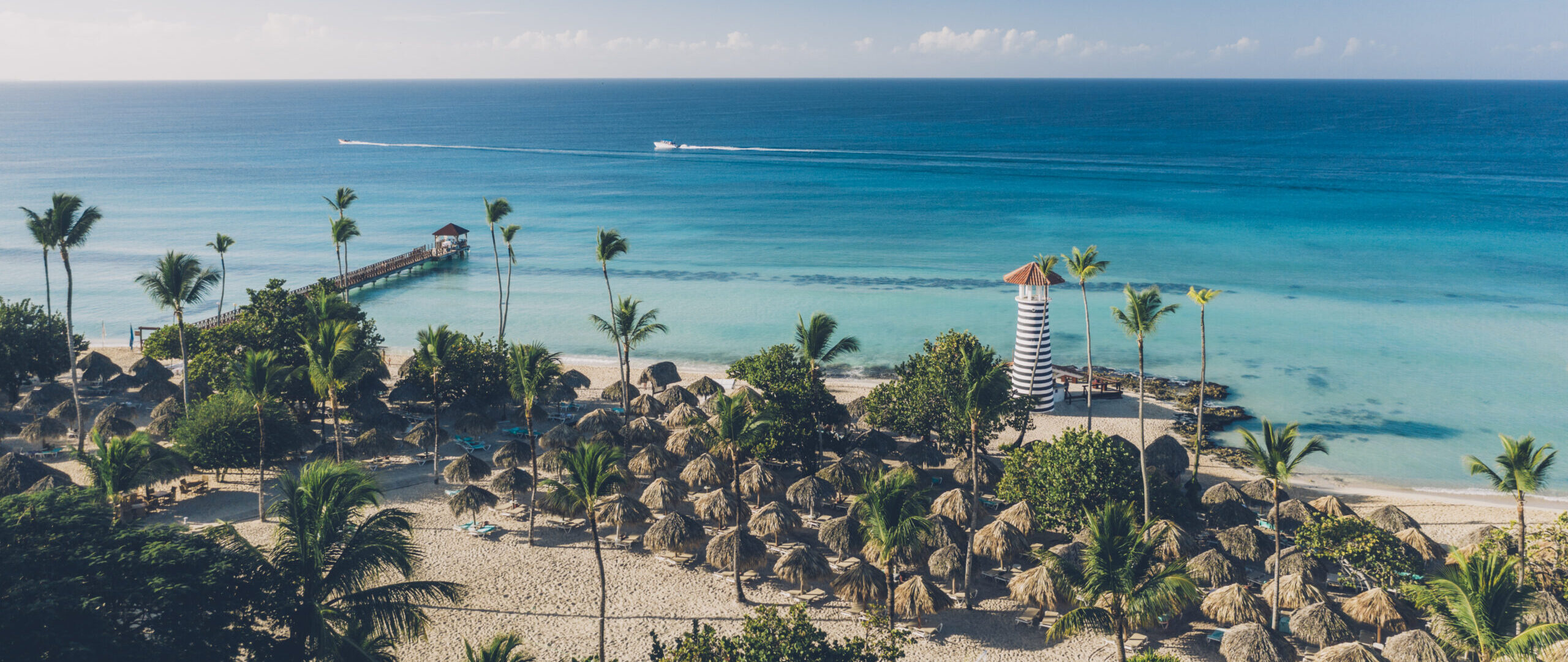 Wave of Change 2021 Year in Review - Wave of Change